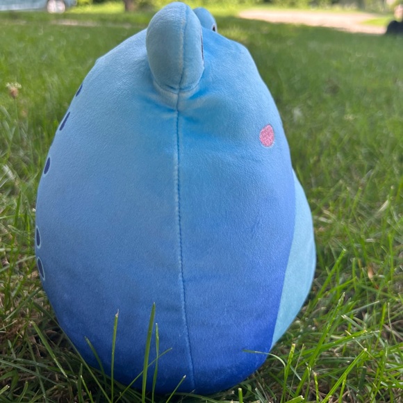 Squishmallows | Toys | Nwt 8 Blue Toad Alandy Frog Spots Boxlunch ...